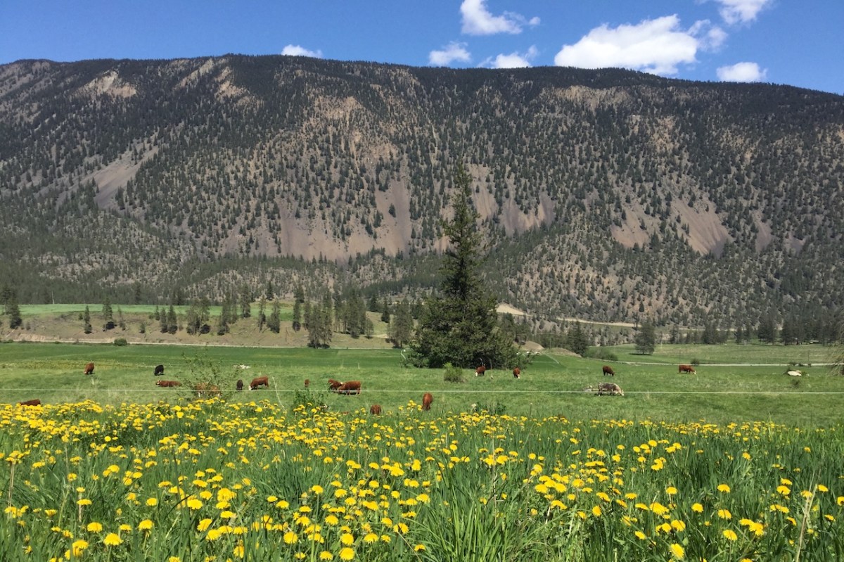 Land – Spray Creek Ranch